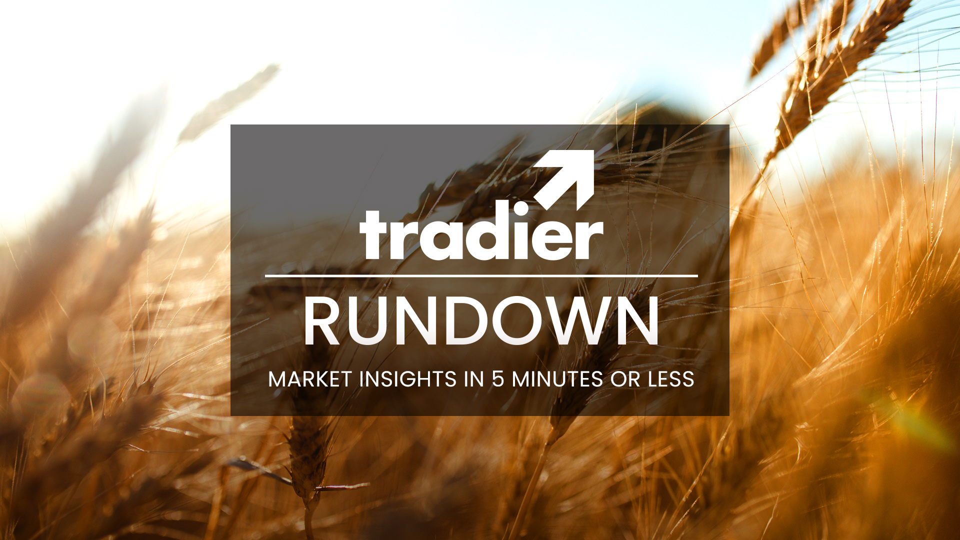 Investing and Trading Agriculture as the 2024 Crop Year Gets Underway